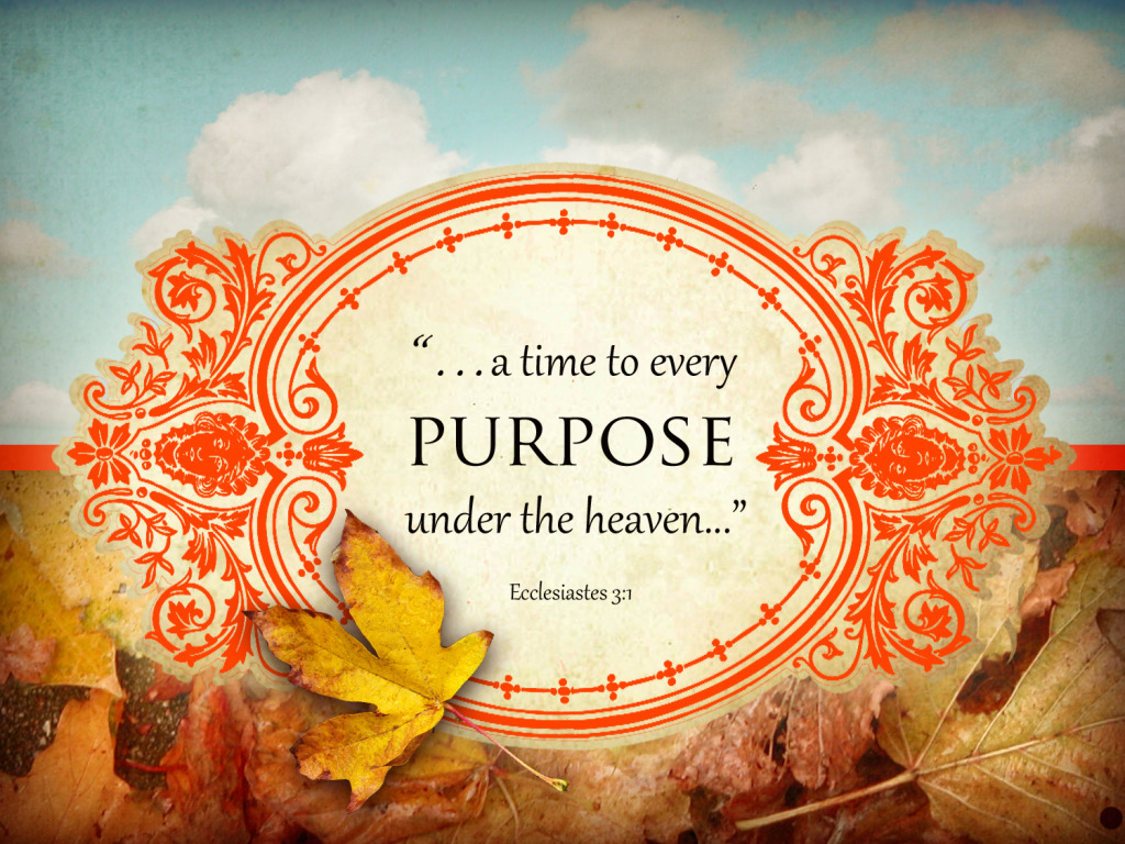 "A Time To Every Purpose" - The Abundant Life Center